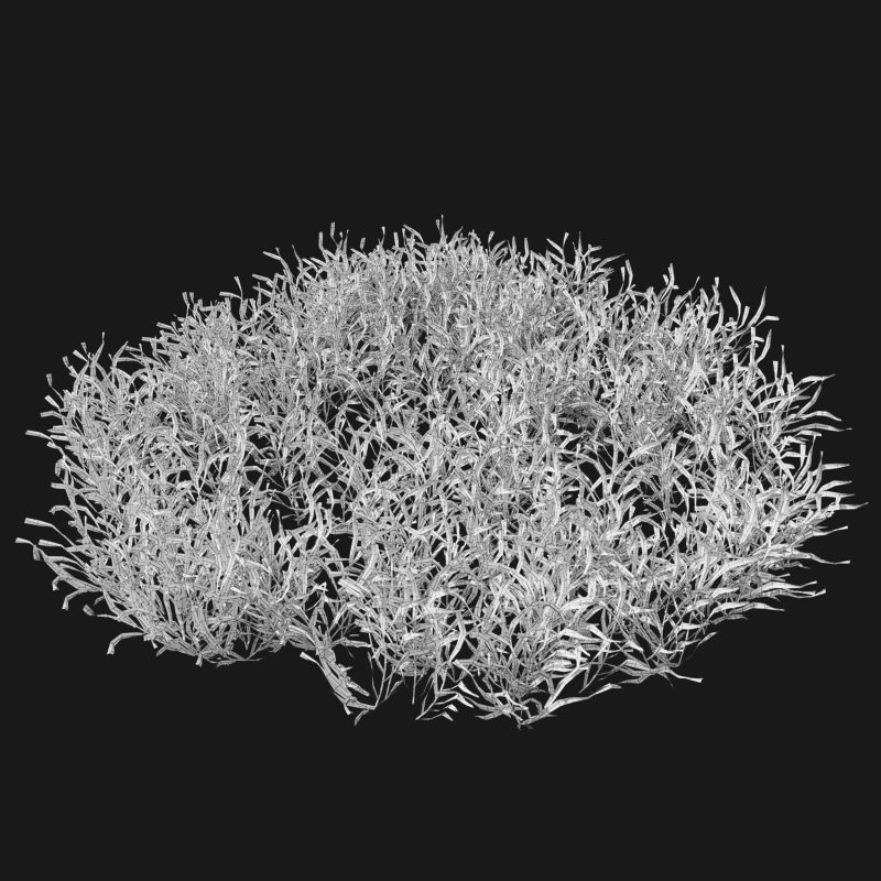 Cut Bermuda Grass (v2) – VIZPLANTS