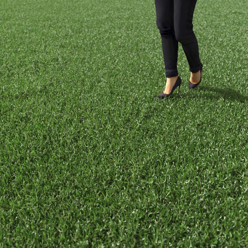 Cut Bermuda Grass (v3) – VIZPLANTS