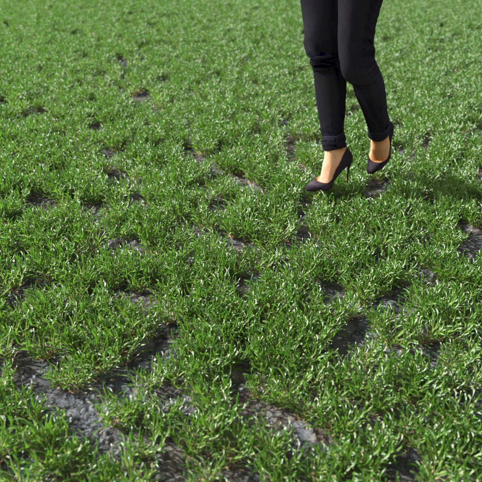 Cut Bermuda Grass (v8) – VIZPLANTS