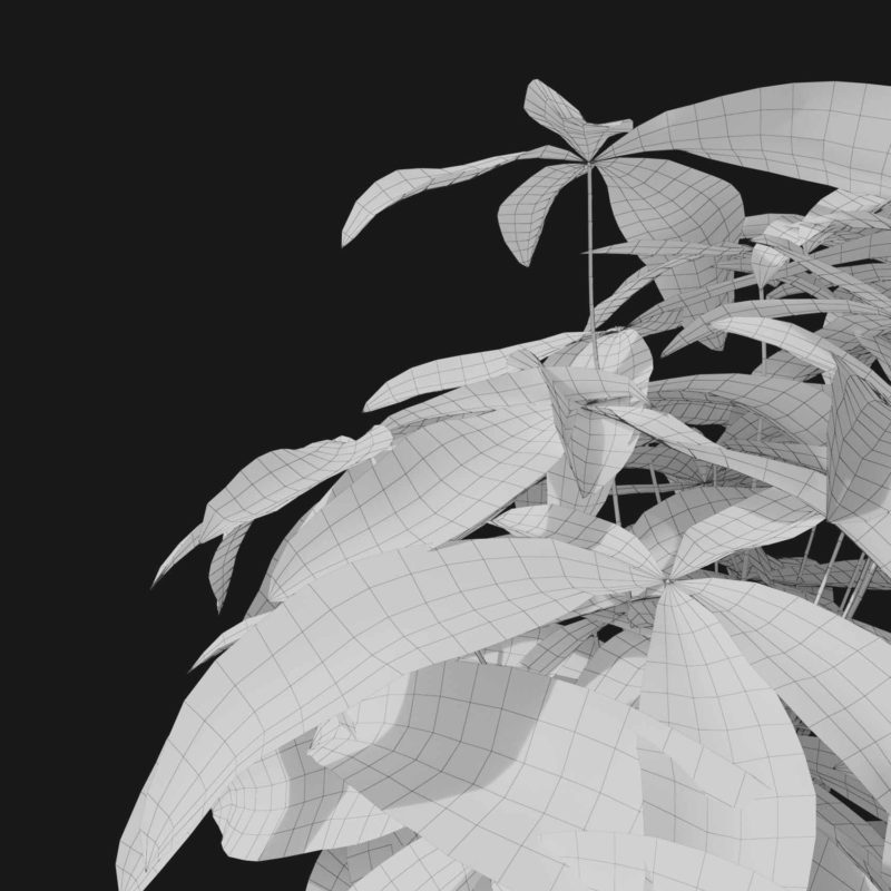 Lucky Chestnut (v4) – VIZPLANTS