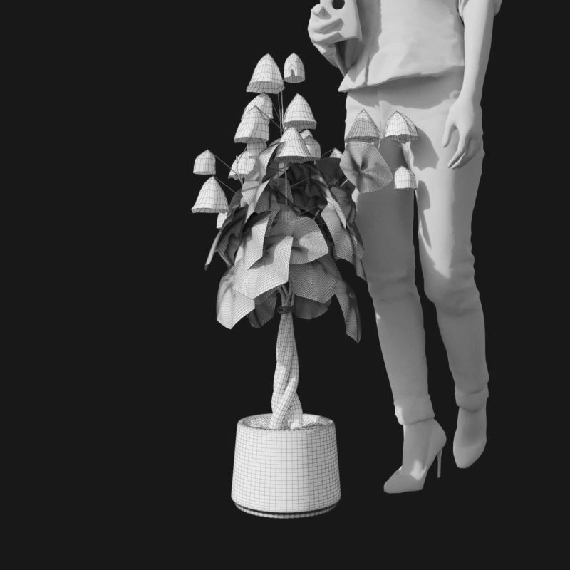 Lucky Chestnut (v5) – VIZPLANTS