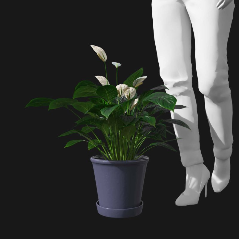 3D Plant Library – Page 4 – VIZPLANTS