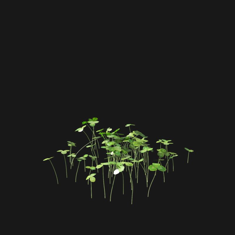 Clover (v2) – VIZPLANTS