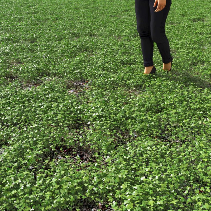 Clover (v2) – VIZPLANTS