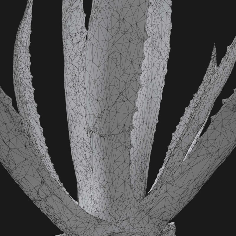 Agave (v1) – VIZPLANTS